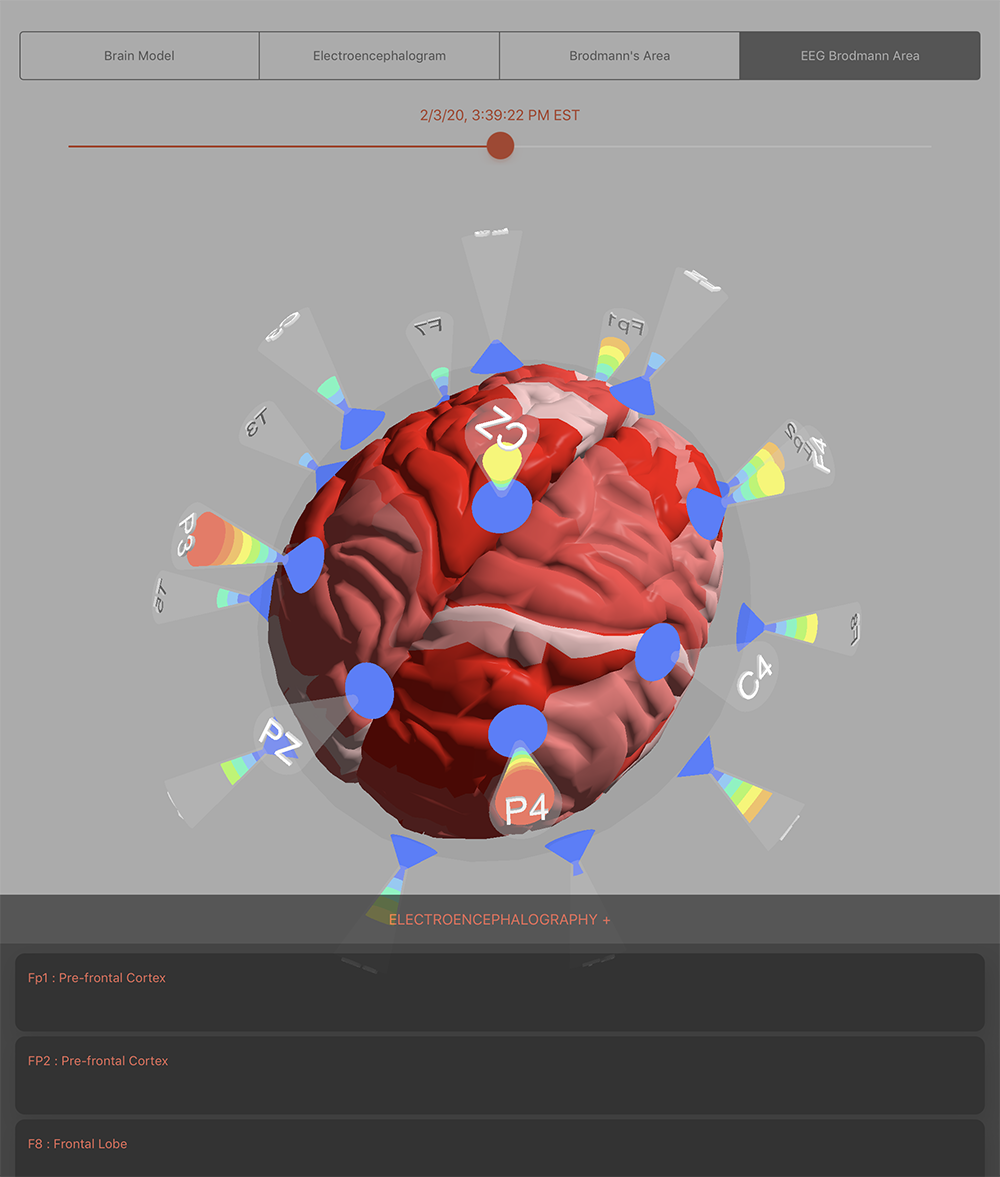 Brain Data Model 3D/AR – Frank YJ Cho